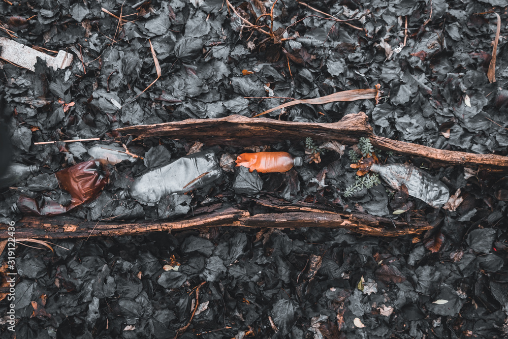 Rubbish of plastic bottles in old tree, lying in foliage. Ecology ...