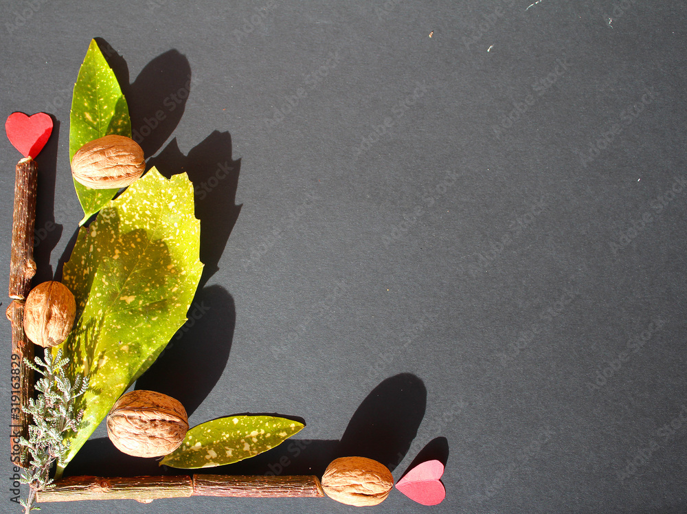 Kiwi branches and aucuba japanese leaf with nuts and two little paper ...