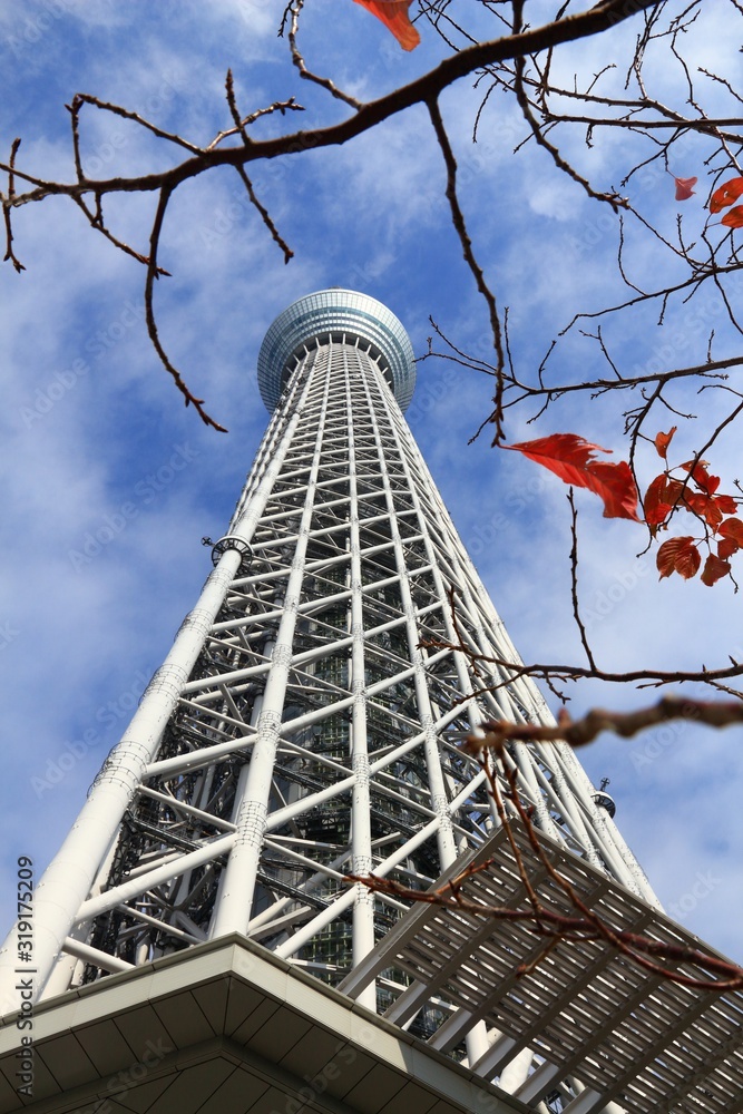 TOKYO, JAPAN - NOVEMBER 30, 2016: Tokyo Skytree Tower in Japan. The ...