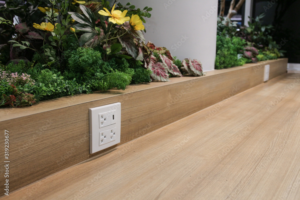 Plug Socket on the Wall with Pastel Background/Flower Stock Photo ...