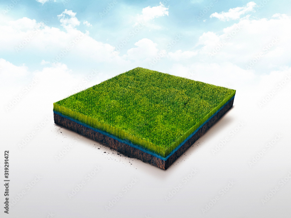 Cross section rice field. Paddy-field slice with water and soil ...