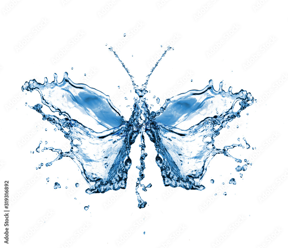 Butterfly as a water splash isolated on a white background Stock ...