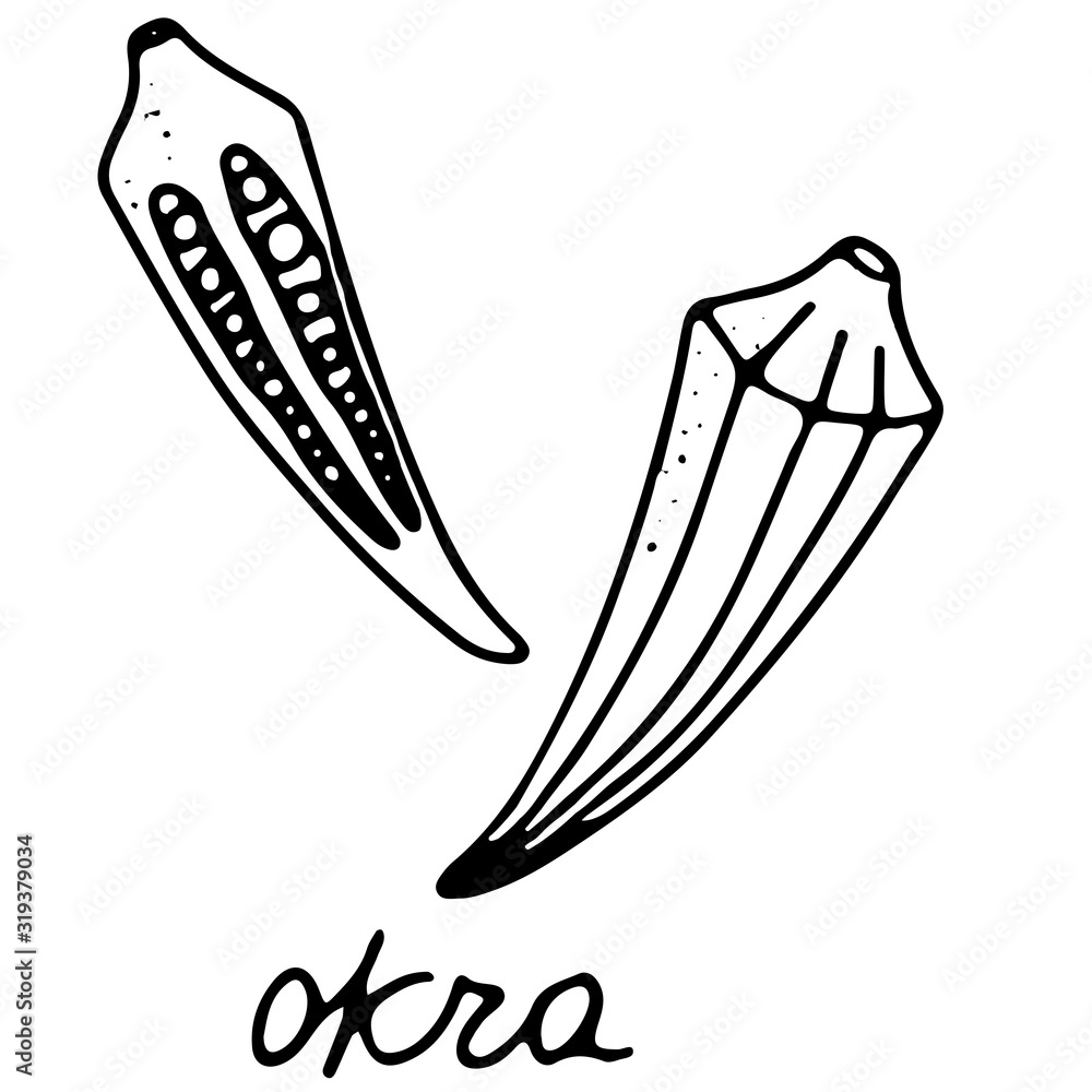 Hand drawn isolated traditional indian food icon. Black outline illustration of indian vegetable ...