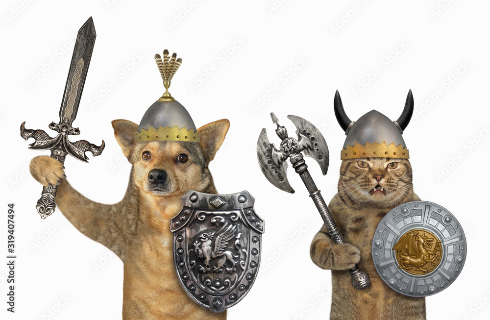 The dog and the cat are armed with shields with a dragon, helmets, an ...