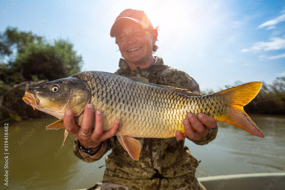 Happy angler holds big carp fish (Cyprinus carpio) and smiles ...