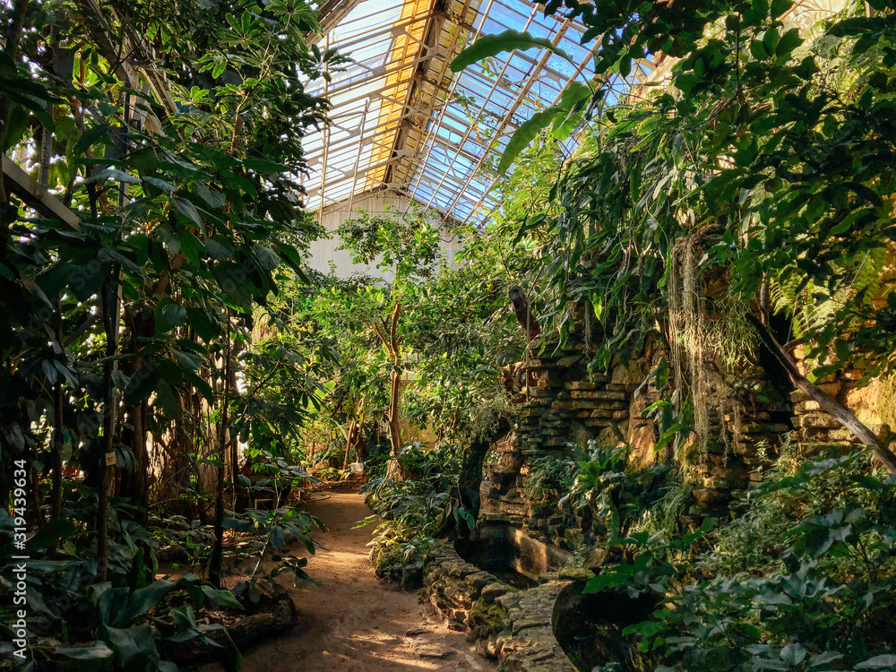 Moody photo of old botanical garden. The sun rays shining through the ...