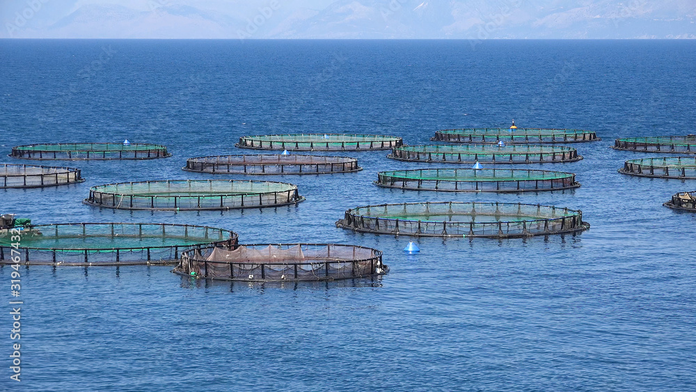 Fish Farm on Sea, Hatchery Fishing, Greece Aquaculture, Marine Fish ...