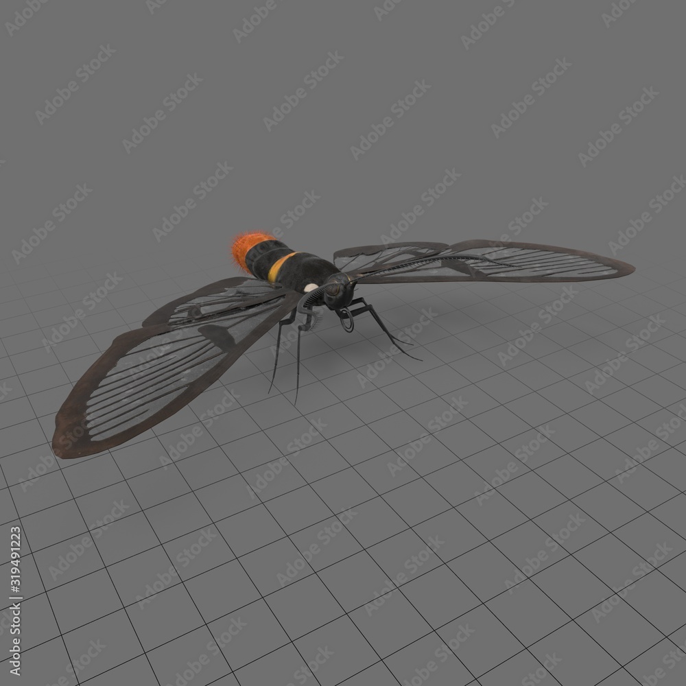 Aethria pyroproctis Stock 3D asset | Adobe Stock