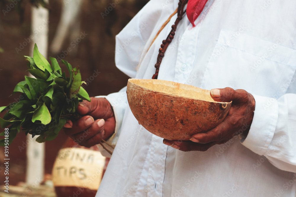 chaman medicina maya mexico curandero natural mitico mistico religion ...