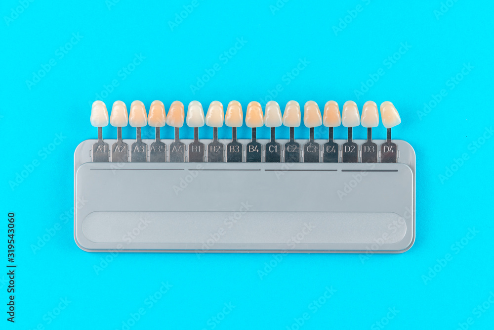 shade guide to accurately determine tooth shade, palette for choose ...