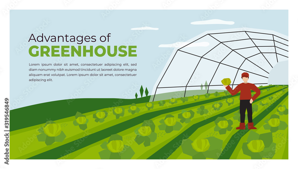 Vector illustration of advantages of greenhouse. Farmer with vegetables ...