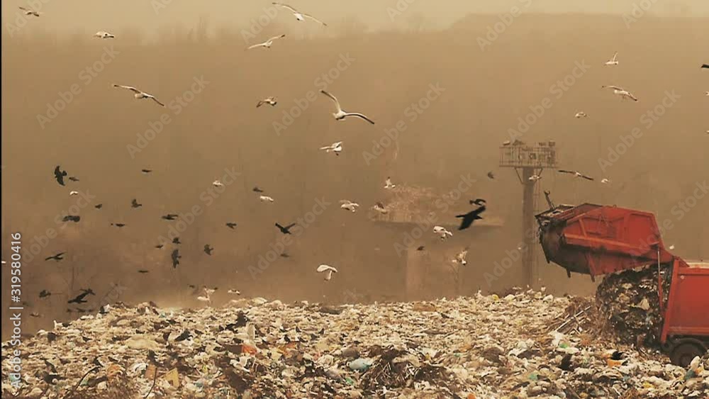 Red trash truck spills garbage in a landfill. City dump in slow motion ...