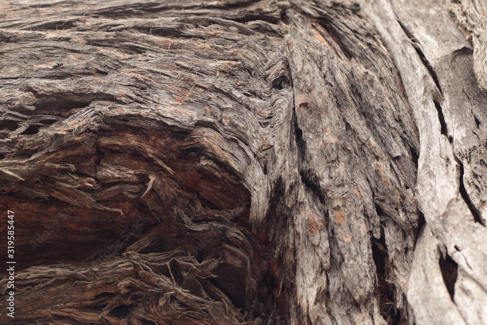 close up of the red and dark colors and textures of Native Australian ...