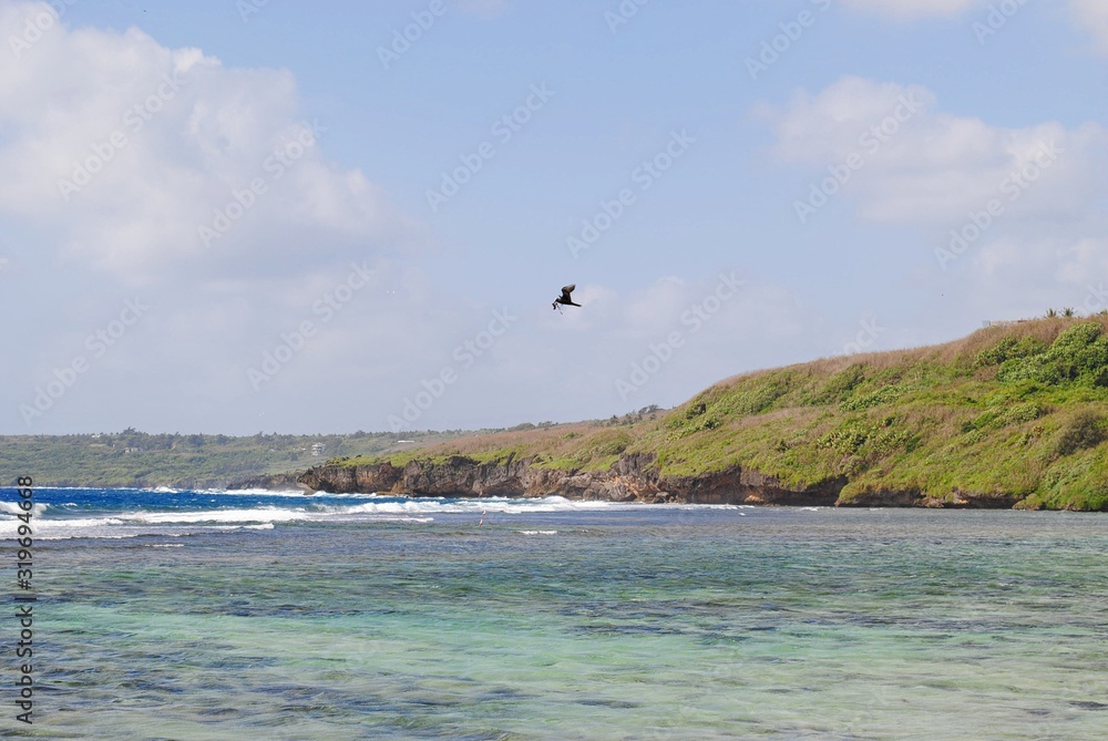 Blue and green waters of Lau Lau Bay, Saipan, with a small bird flying ...