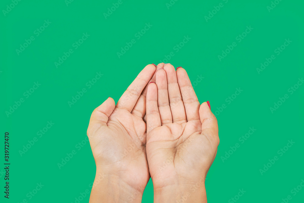 Closeup top view photography of two female hands isolated on green ...