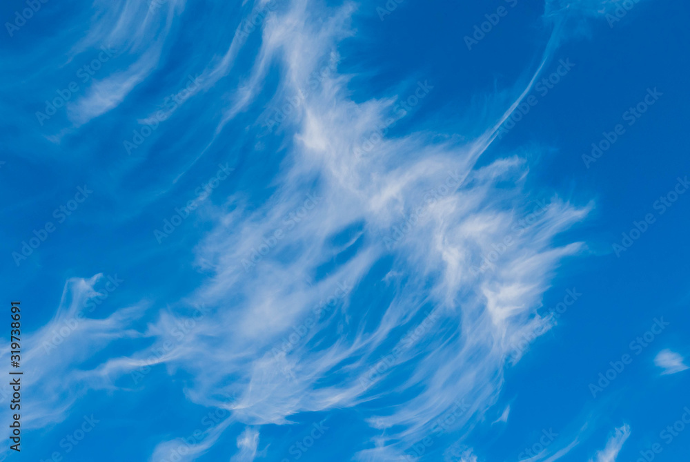 Sky wallpaper with light clouds. Stock Photo | Adobe Stock
