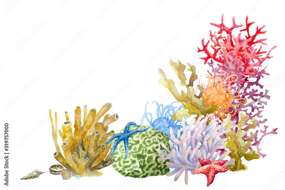 Reef with colorful corals , sponge, anemones, starfish. Copy space for ...
