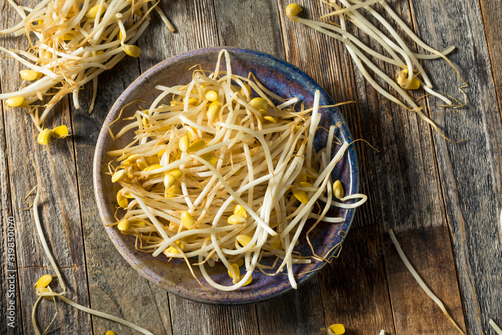 Raw White Organic Bean Sprouts Stock Photo | Adobe Stock