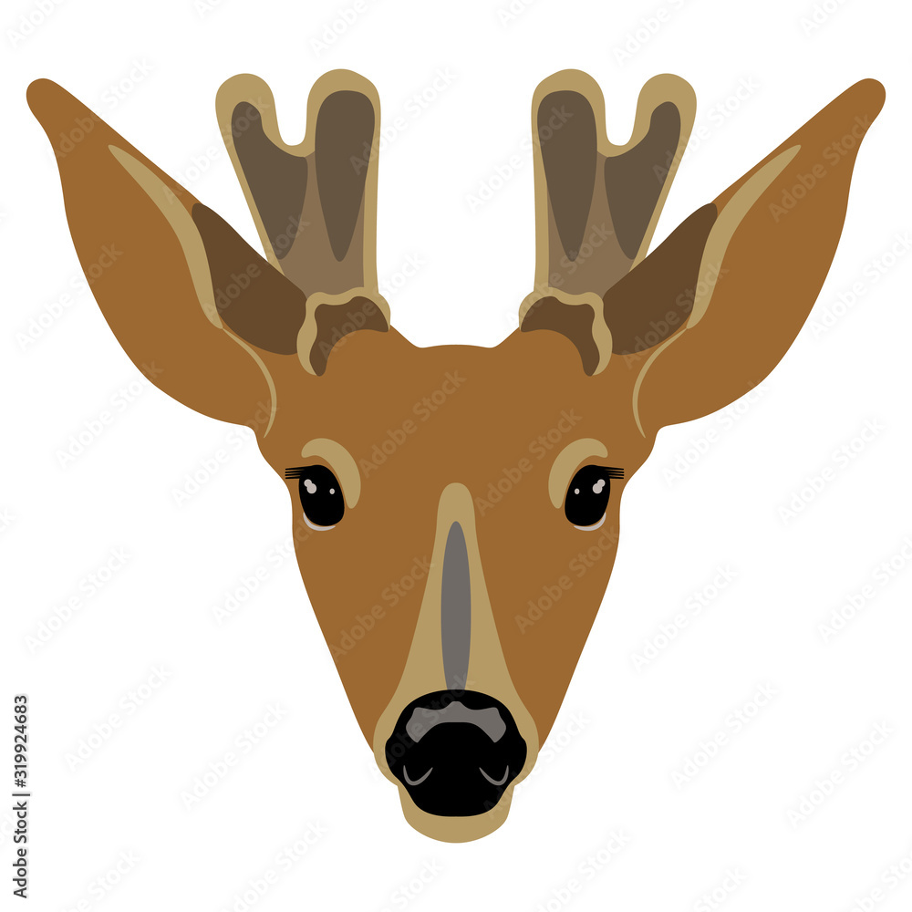 Isolated vector illustration. Head of a deer. Flat cartoon style. Stock ...
