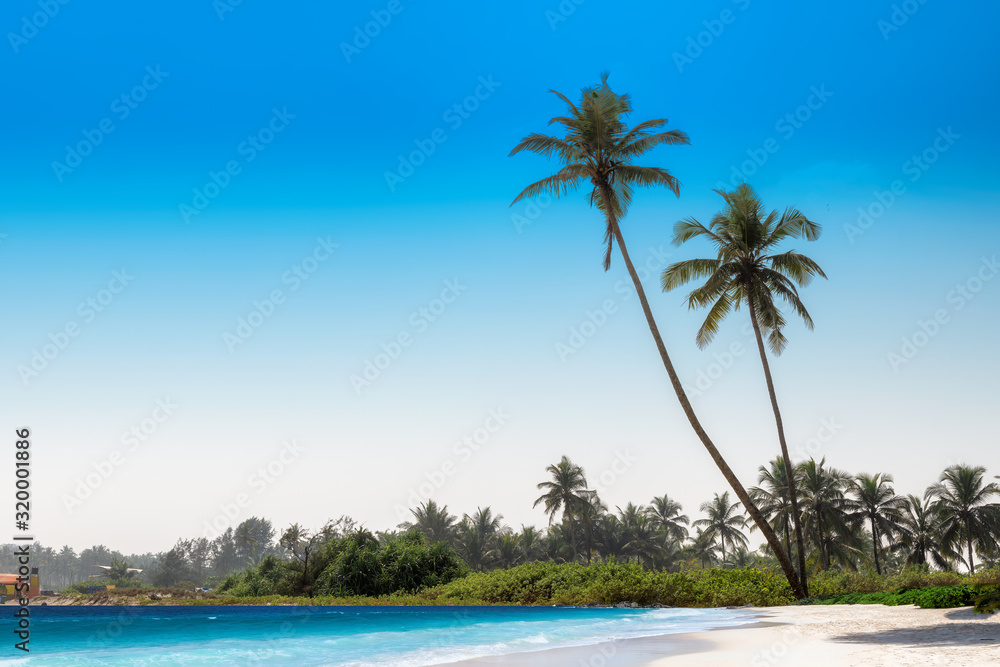 Exotic tropical beach with coconut palm trees and blue ocean under blue ...