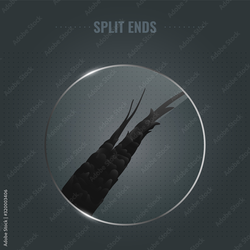 Hair split ends under the microscope. Damaged hair follicle closeup ...