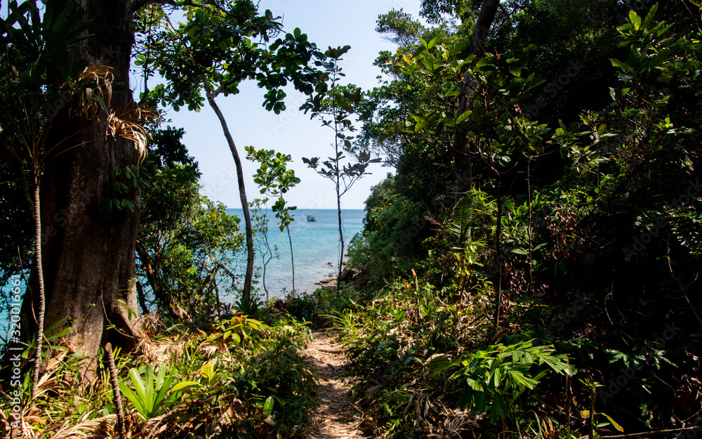 El sendero de la selva nos lleva hasta una playa de azul turquesa Stock ...