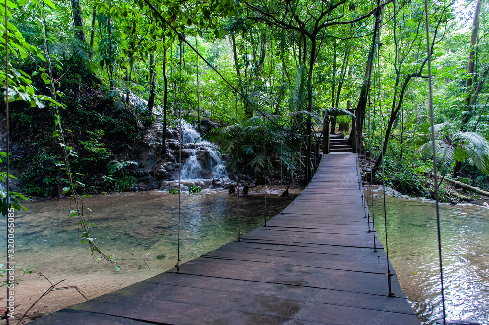 Mayan bridge in the rainforest Stock Photo | Adobe Stock