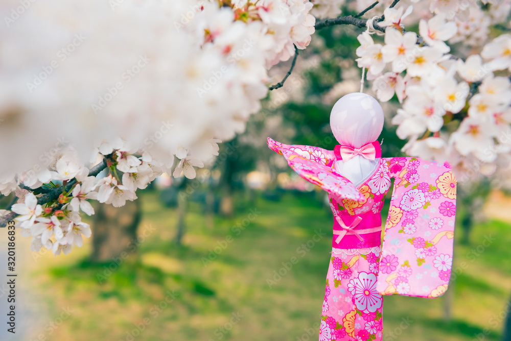 Teru Teru Bozu. Japanese Rain Doll hanging on Sakura tree to pray for ...