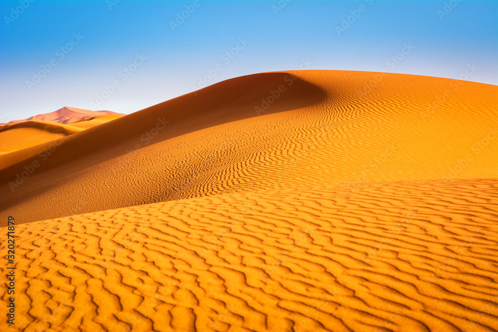 Amazing view of sand dunes in the Sahara Desert. Location: Sahara ...
