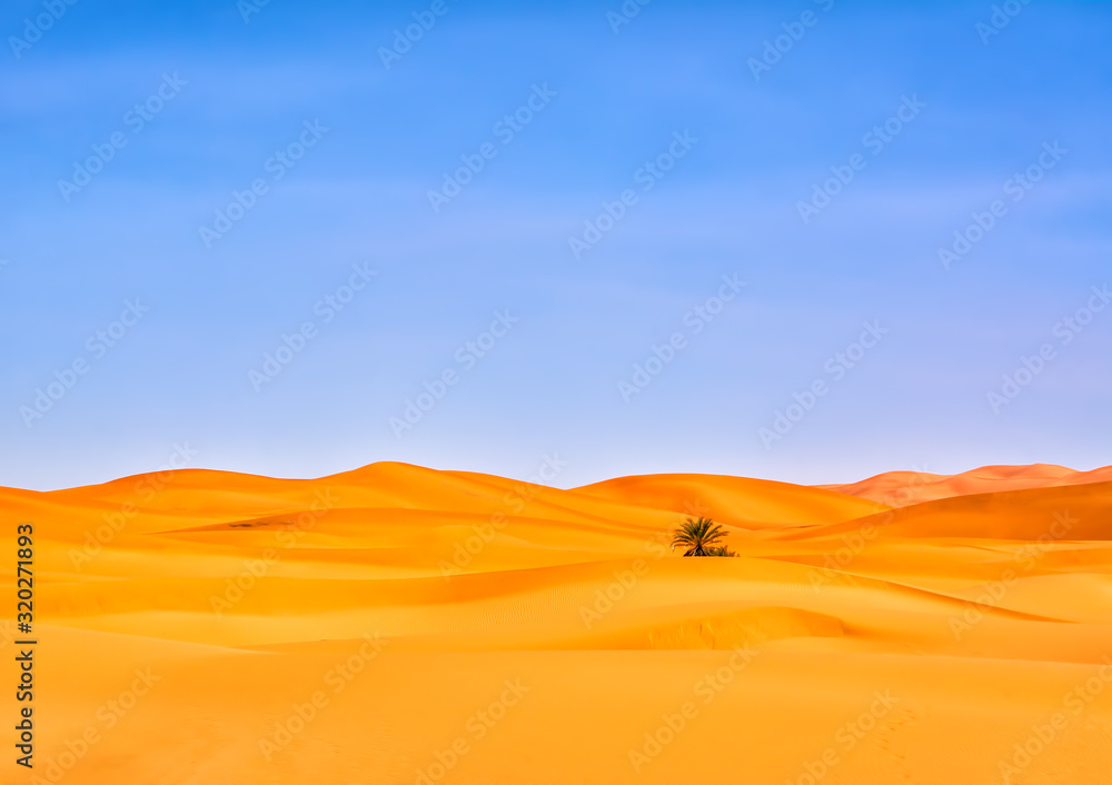 Amazing view of sand dunes in the Sahara Desert. Location: Sahara ...