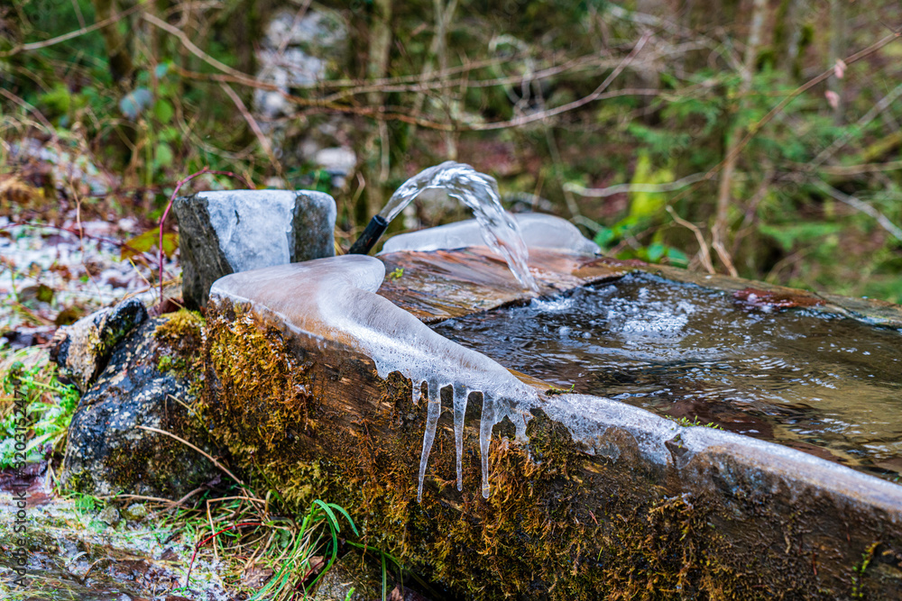 Foto de Brunnen im Winter mitten in Gebirgsschlucht, Holztrog der eine ...