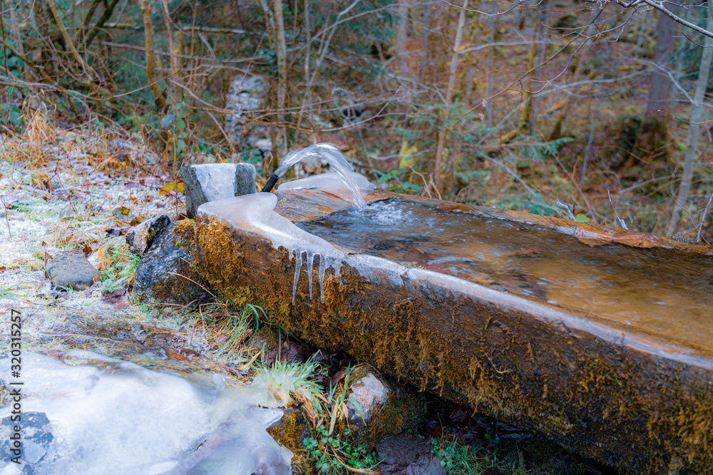 Brunnen im Winter mitten in Gebirgsschlucht, Holztrog der eine Quelle ...