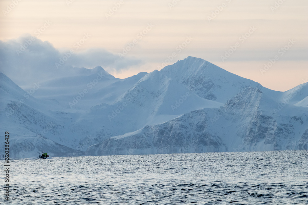 rib boat in the Arctic polar sea for excursions and whale and cetacean ...