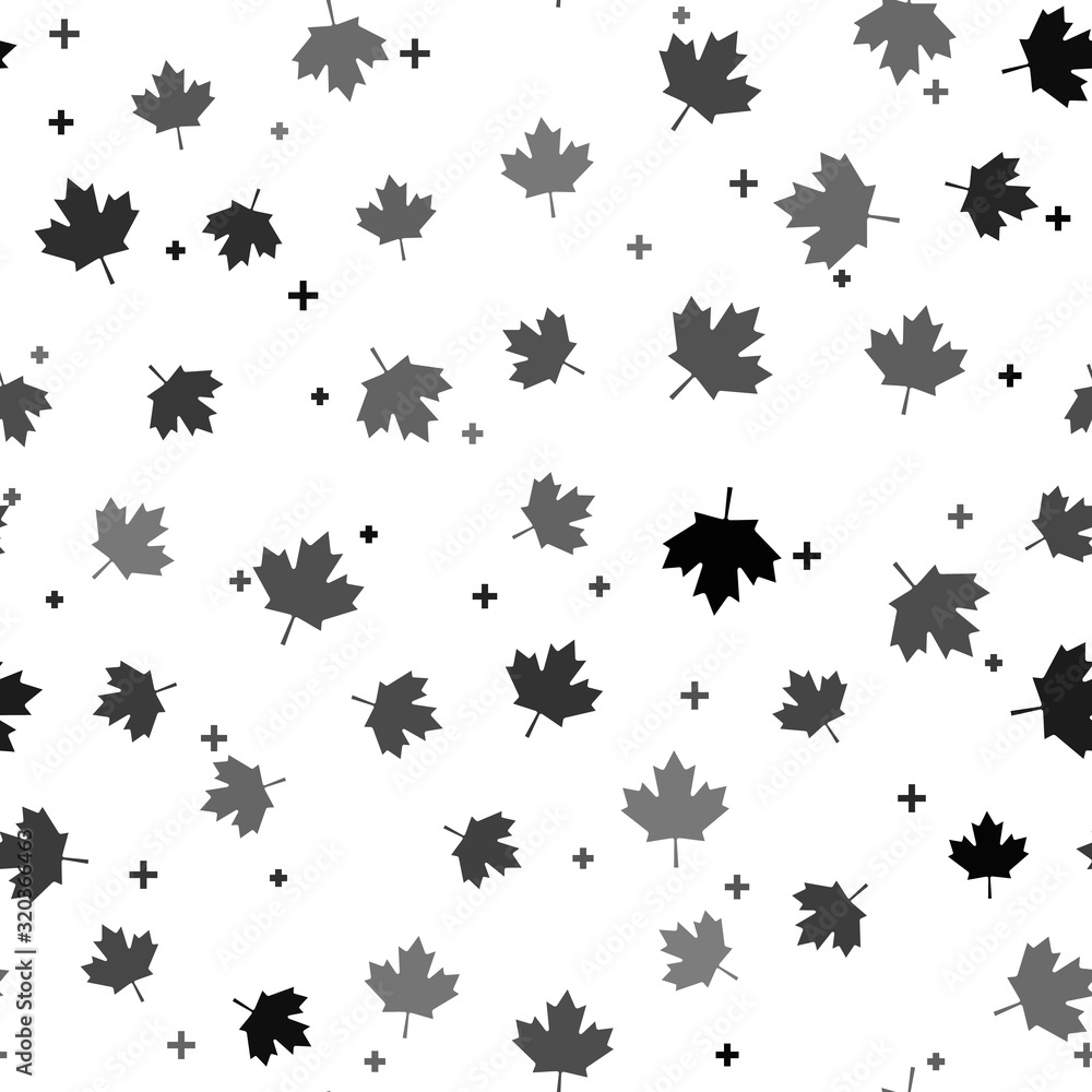Black And White Maple Leaf