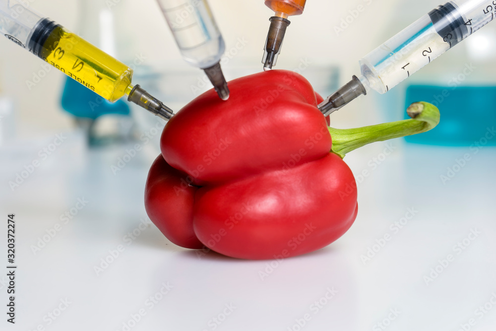 Syringes with nitrates and additives are stuck in red pepper. Food ...