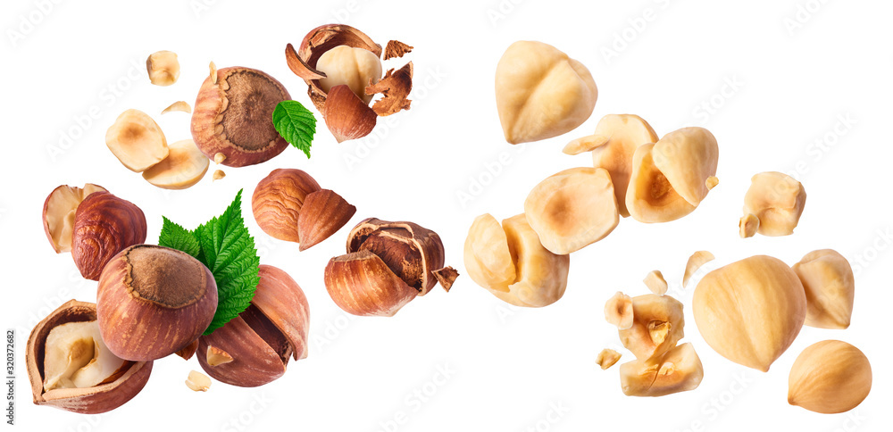 Hazelnuts crushed into pieces, frozen in the air. Stock Photo | Adobe Stock Hazelnuts crushed into pieces, frozen in the air. Stock Photo | Adobe Stock