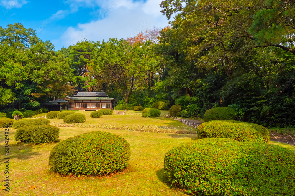 Japan. Territory of the Meiji Temple in Tokyo. Japanese-style house ...
