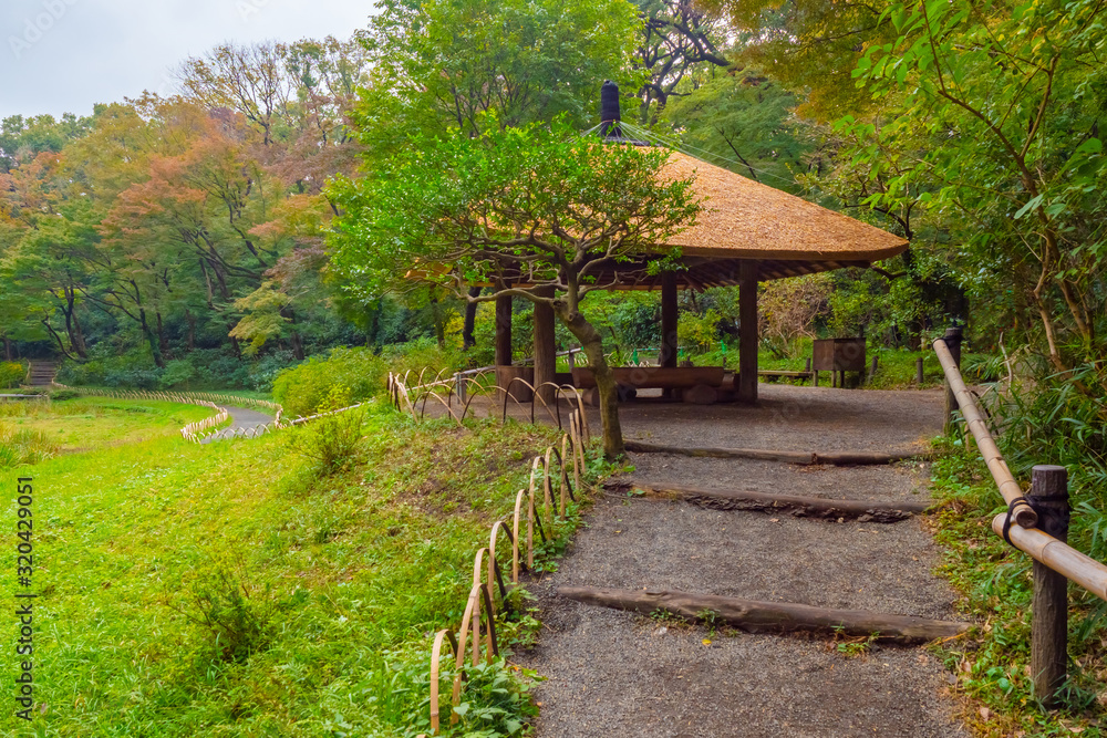 Japan. Gazebo in the park of Tokyo. Landscape near Meiji Temple. The ...
