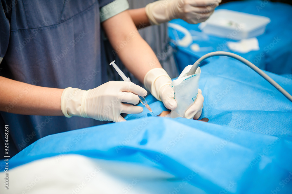 Doctor ultrasound guided and injection by syringe to blood vessels ...