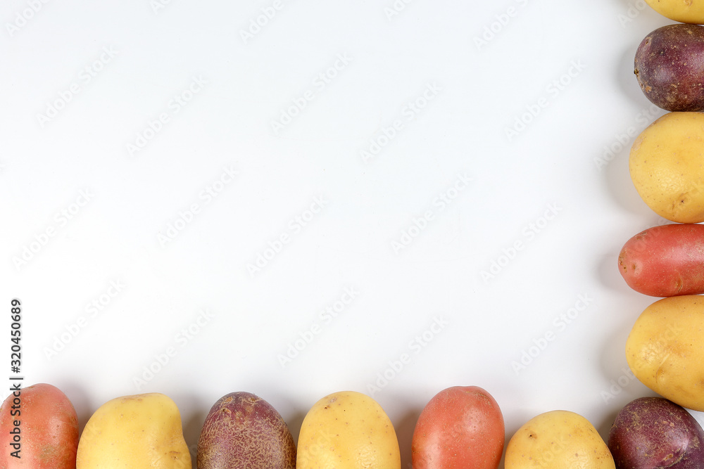 red purple yellow multi tri color small baby potato on white background ...
