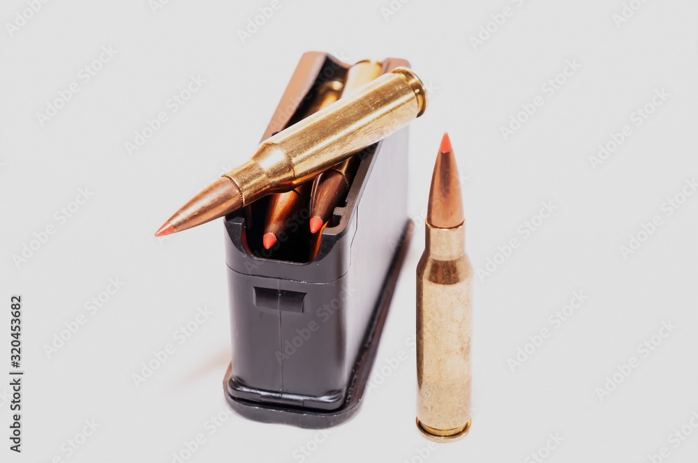 Protected Tip Bullet