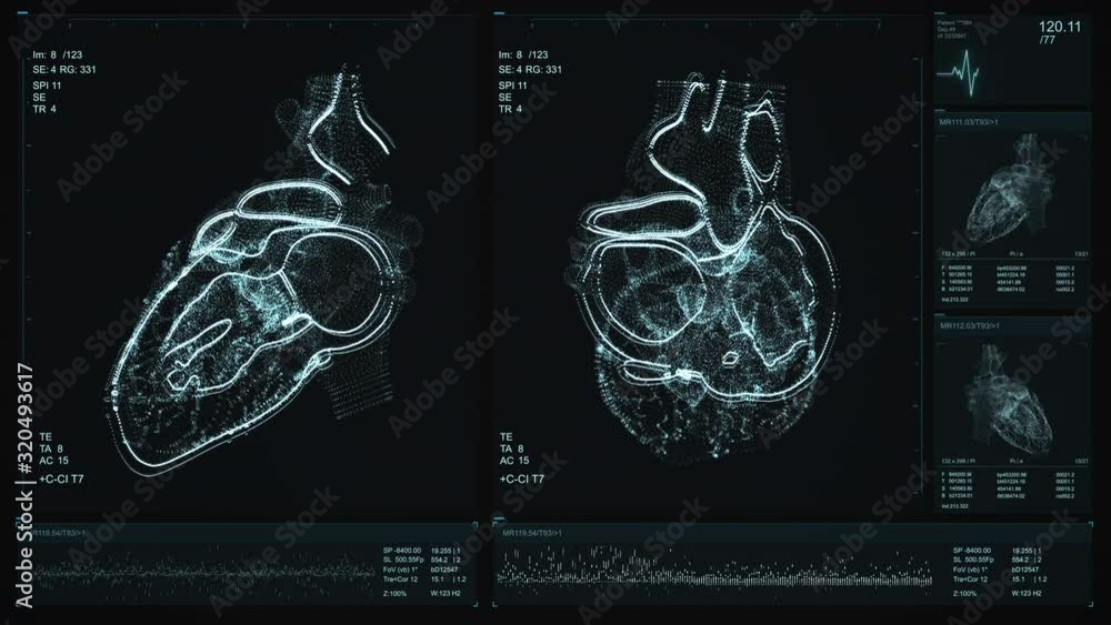 Heart scan screen animation. Blood pressure and heart rate are ...
