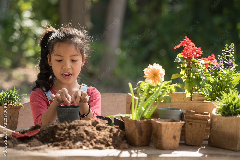 adorable asian little girl is planting spring flowers tree in pots in ...