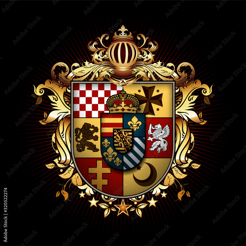 Heraldic shield with a crown on a black background. High detailed ...