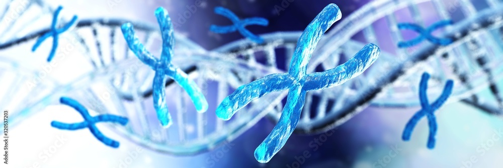 X chromosome against the background of DNA. Chromosomes and DNA. 3D ...