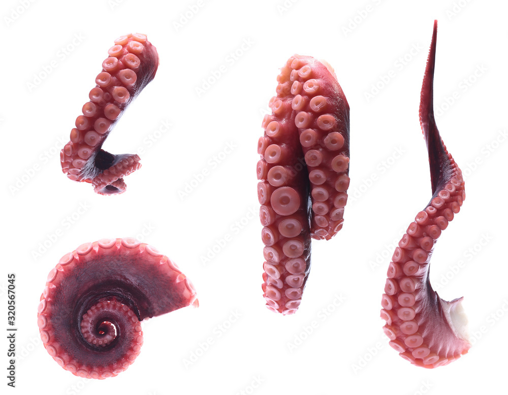 tentacles of octopus isolated on white background (set mix collection ...