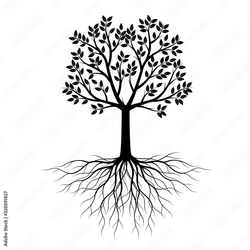 Shape of black Tree with roots and leaves. Vector illustration. Stock ...