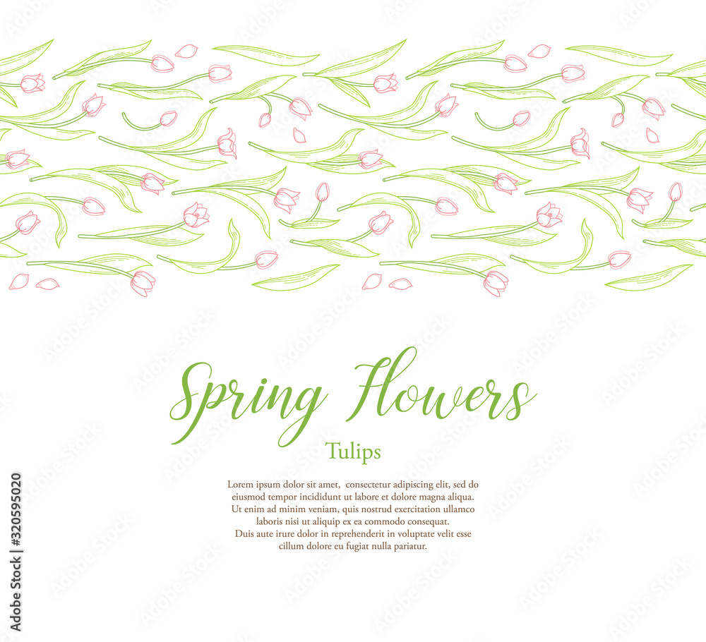 Vector line art border of tulips, spring flowers. Tulip flower Stock ...