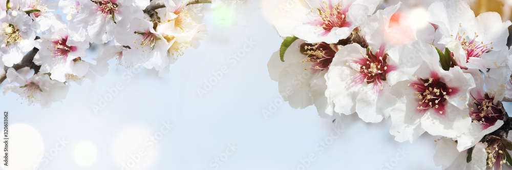 Spring border, season background Stock Photo | Adobe Stock