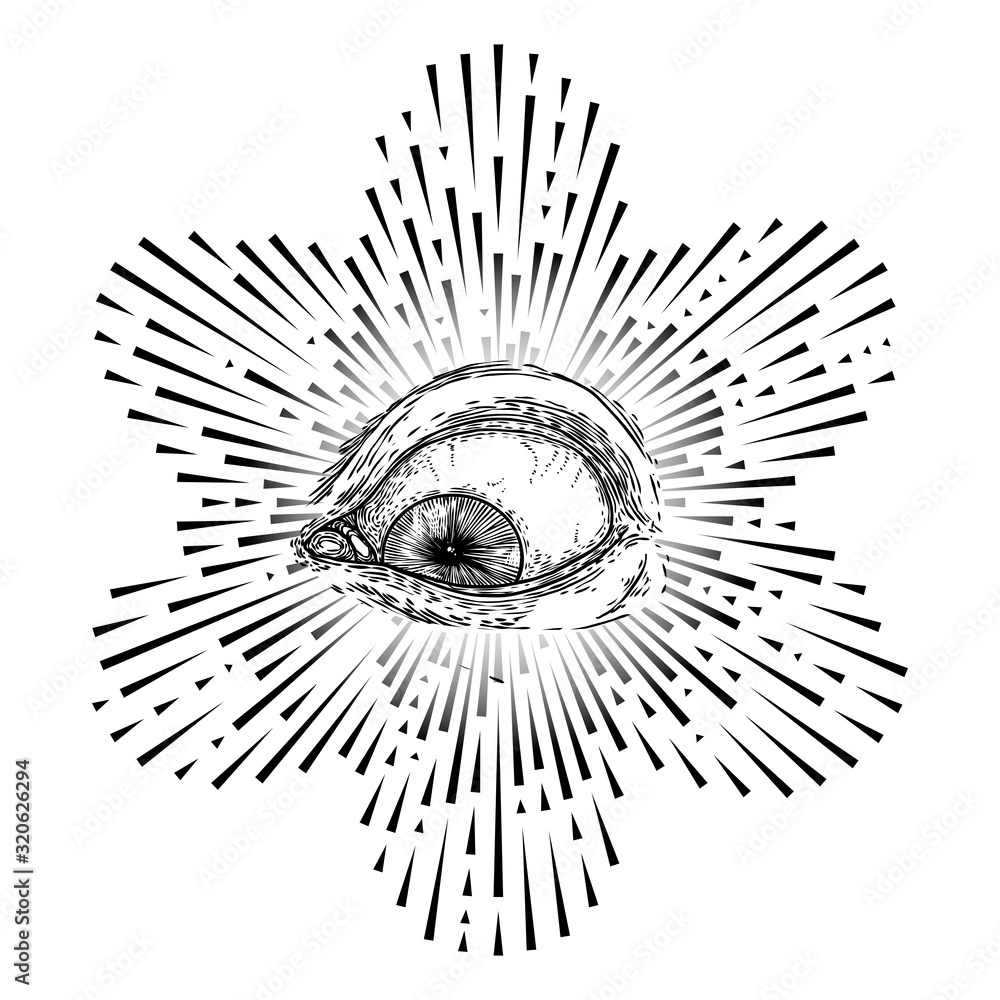 Various drawing of the all seeing eye in different direction and ...